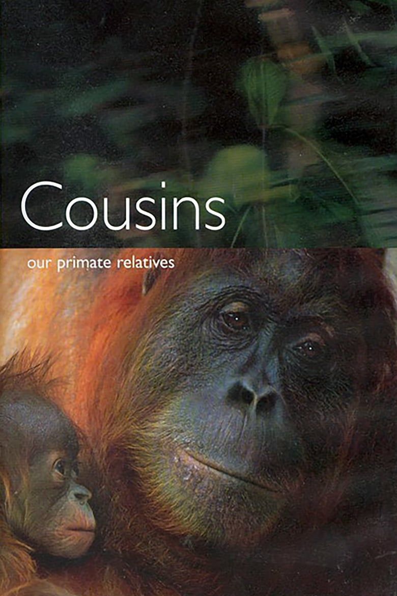 Cousins Summary, Latest News, Trailer, Season List, Cast, Where to ...