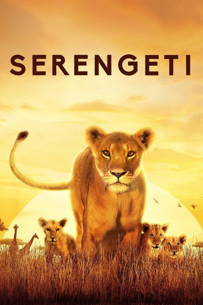 Serengeti Summary, Latest News, Trailer, Season List, Cast, Where to ...