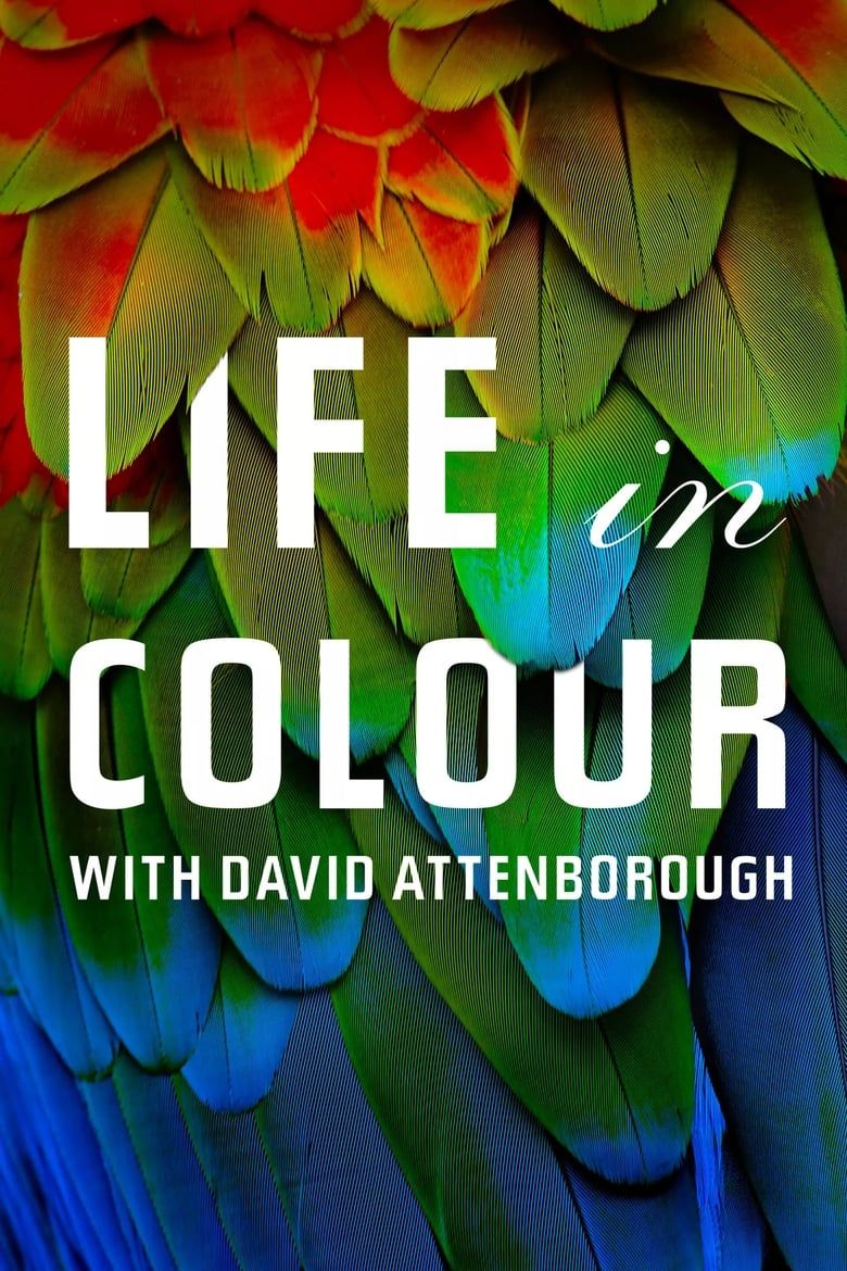 Life in Colour Summary, Latest News, Trailer, Season List, Cast, Where ...