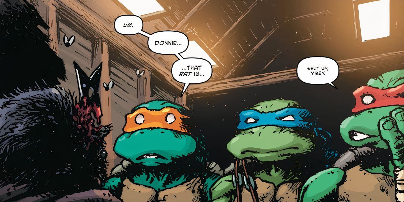 Tmnt 2024 Splinter And Miwa