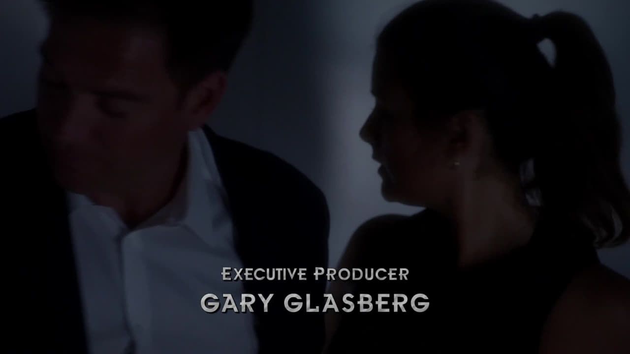 NCIS - Season 10 Summary, Trailer, Cast, and More