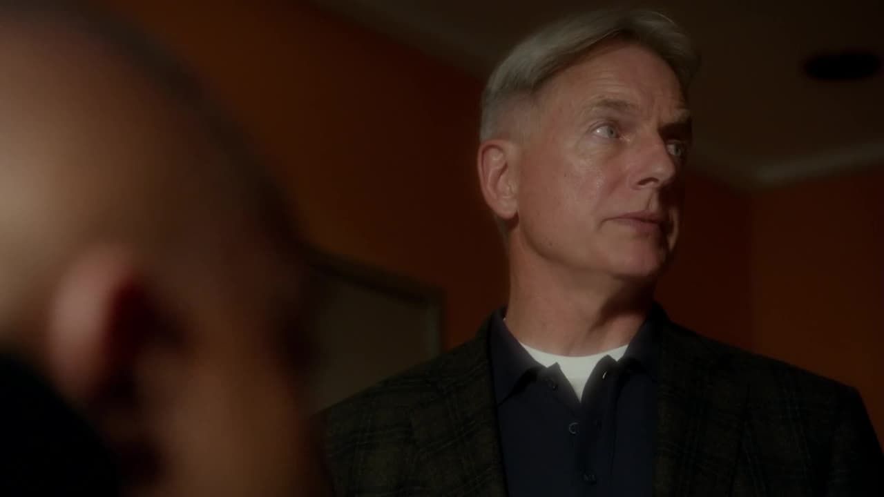 NCIS - Season 10 Summary, Trailer, Cast, and More