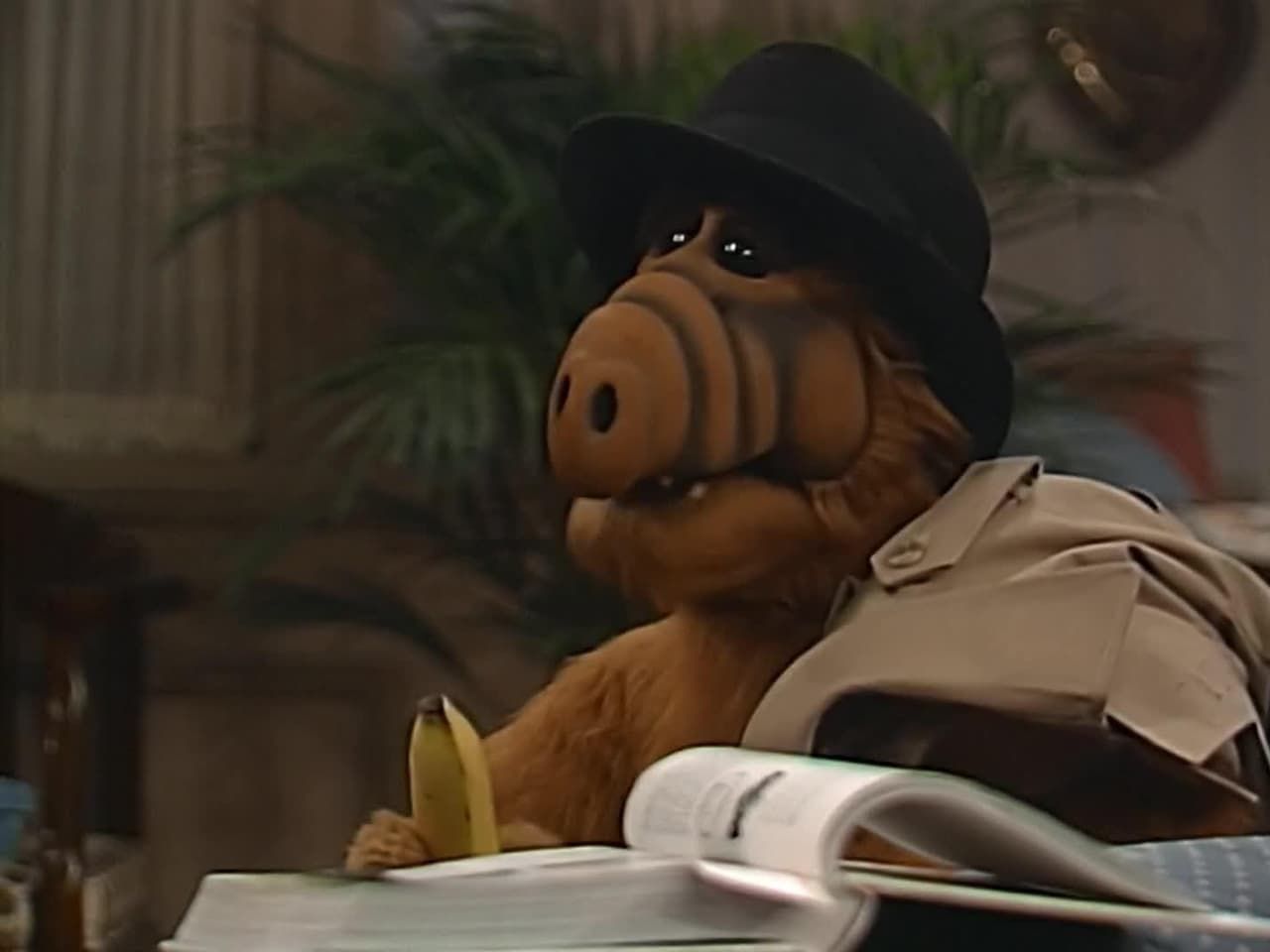 ALF - Season 4 Summary, Trailer, Cast, and More