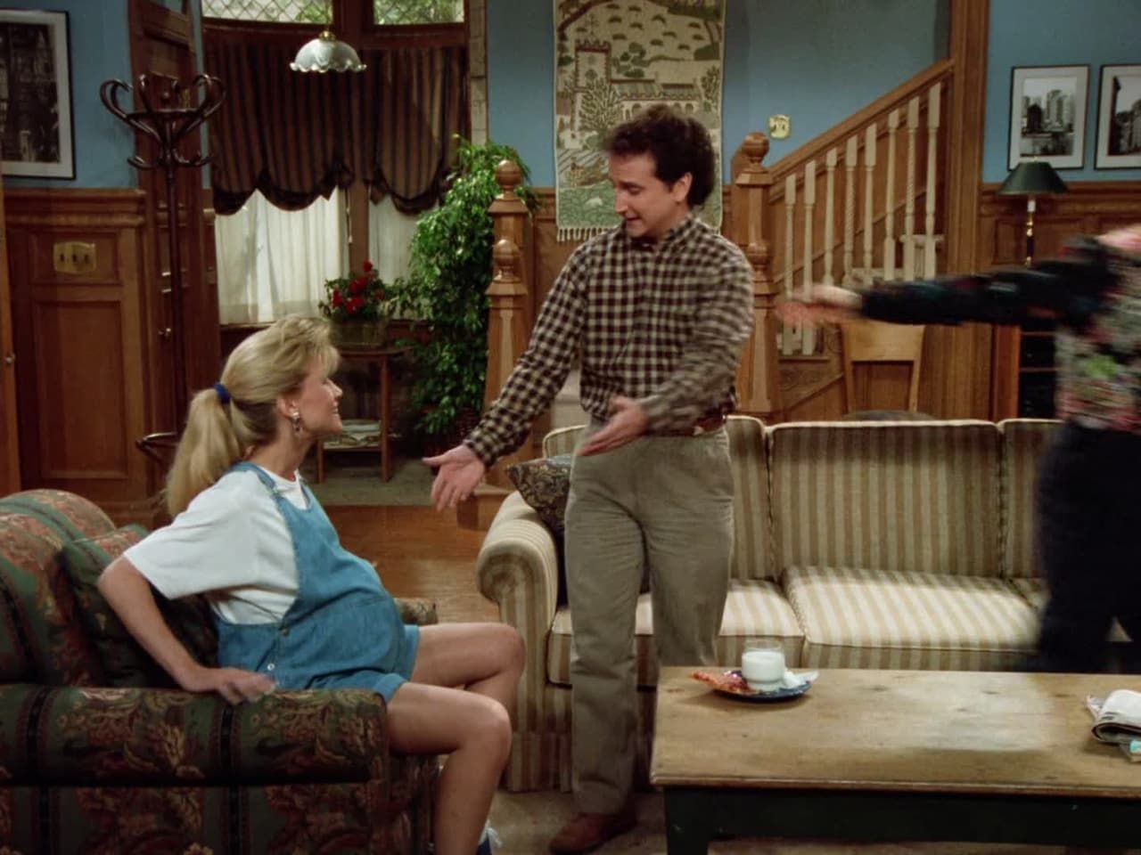 Perfect Strangers - Season 8 Summary, Trailer, Cast, and More