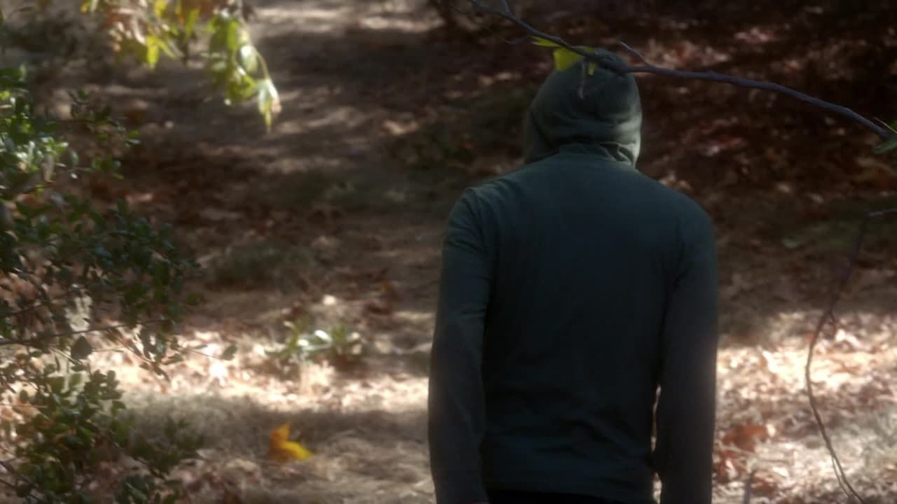 NCIS - Season 11 Summary, Trailer, Cast, and More