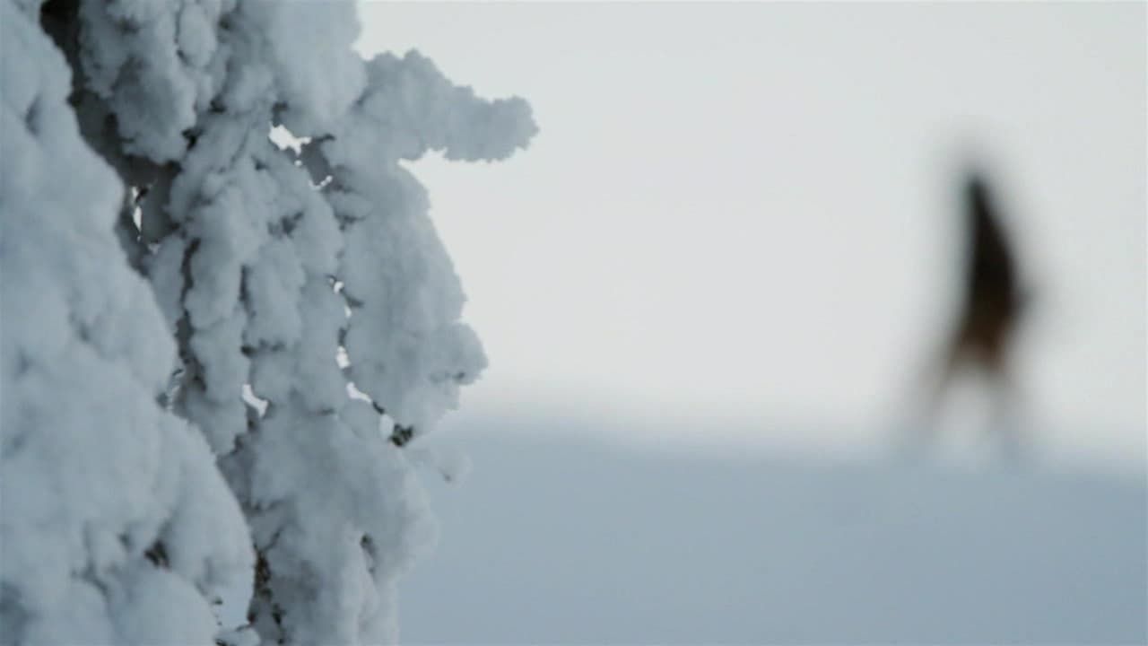 Life Below Zero: First Alaskans - Season 3 Summary, Trailer, Cast, and More