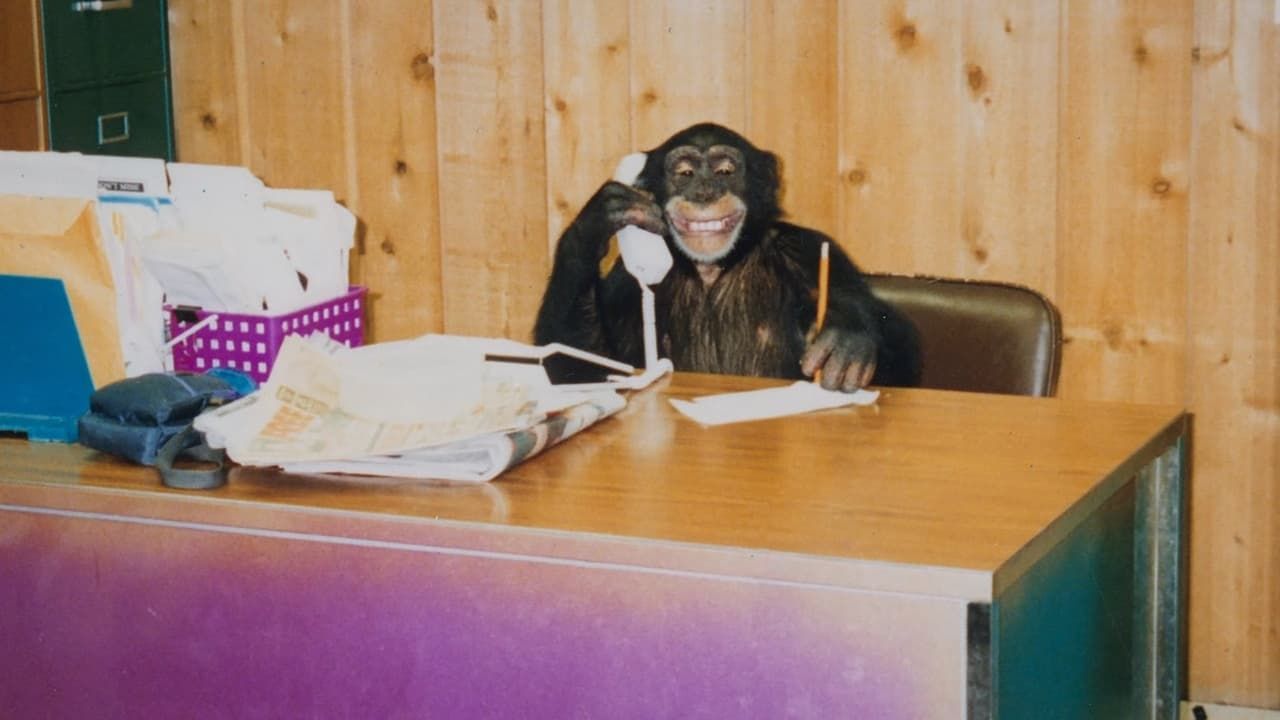 Chimp Crazy - Season 1 Summary, Trailer, Cast, and More