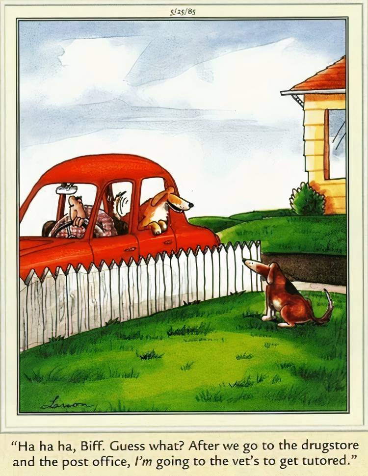 10 Funny Far Side Comics That Prove Dogs Are Man's Best Friends