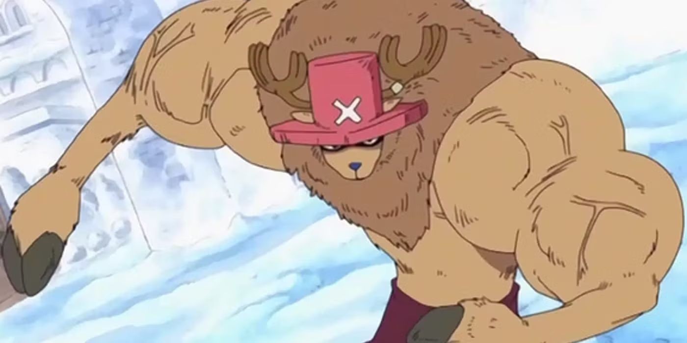 One Piece Chopper Heavy Point