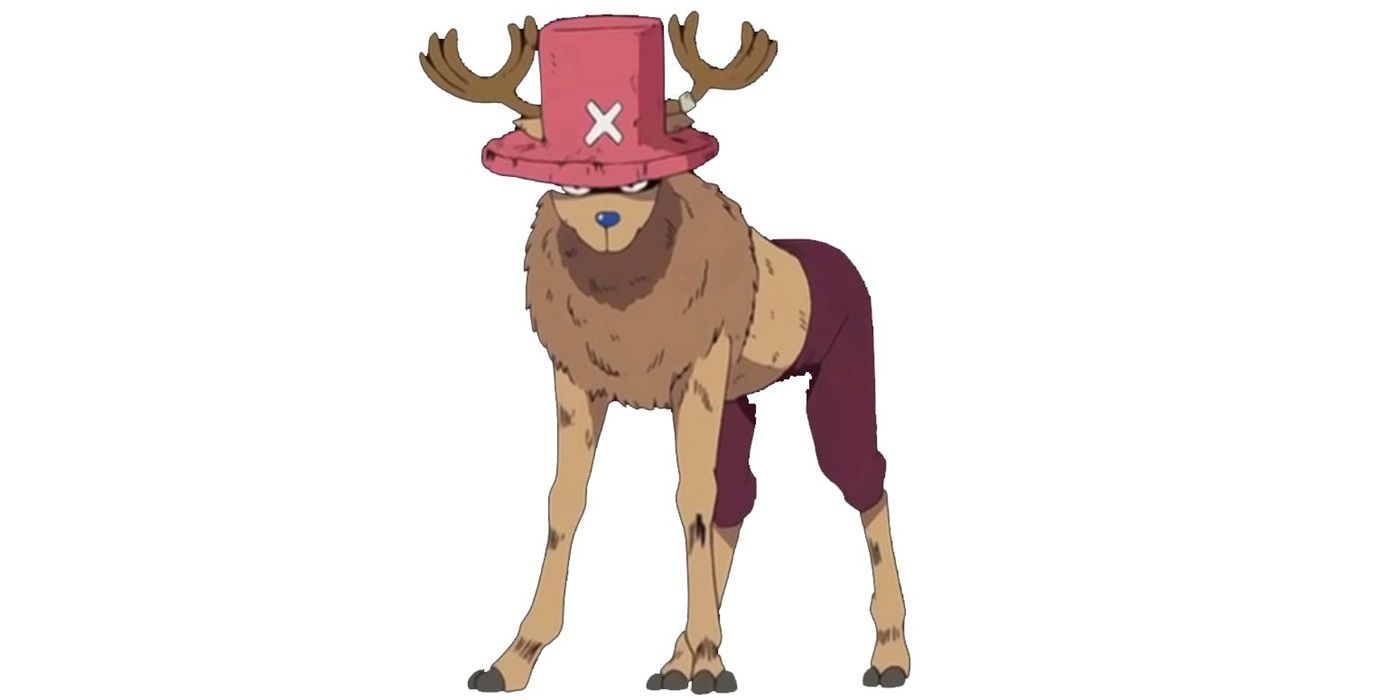 Chopper One Piece Transformations