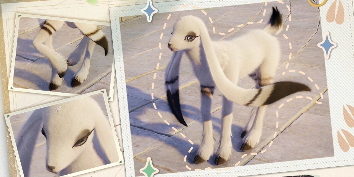 10 Animals In Infinity Nikki You Should Be Grooming Every Day