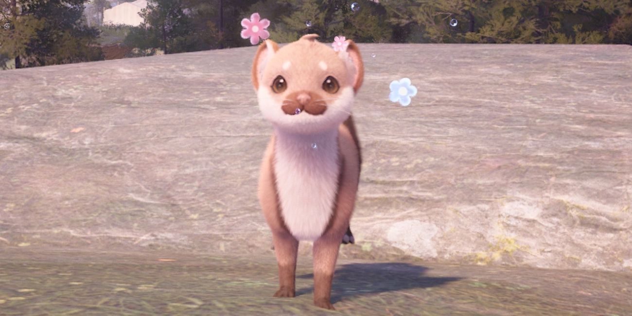 10 Animals In Infinity Nikki You Should Be Grooming Every Day