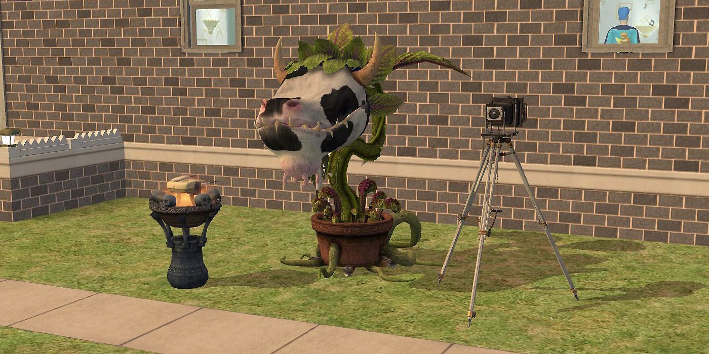 The Sims 2: How To Join A College Secret Society