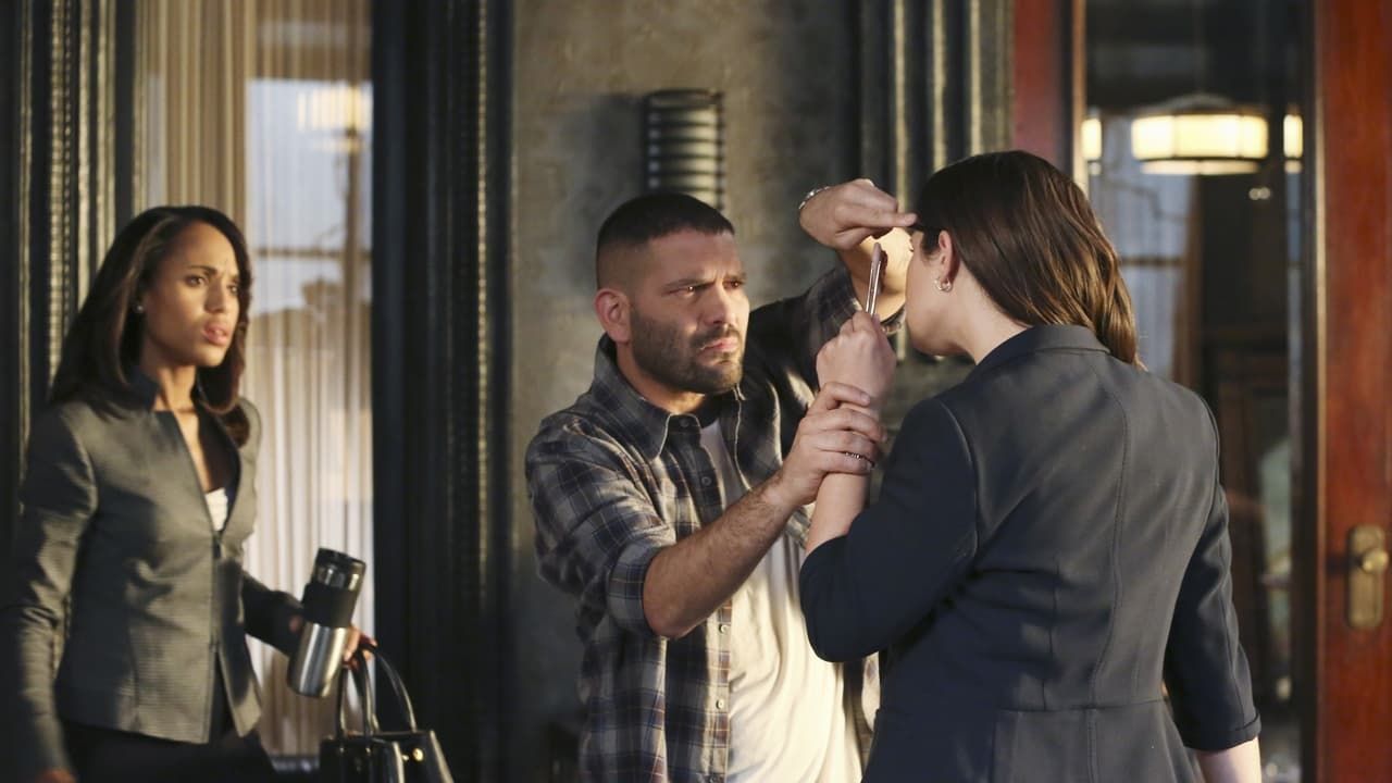 Scandal - Season 2 Summary, Trailer, Cast, and More