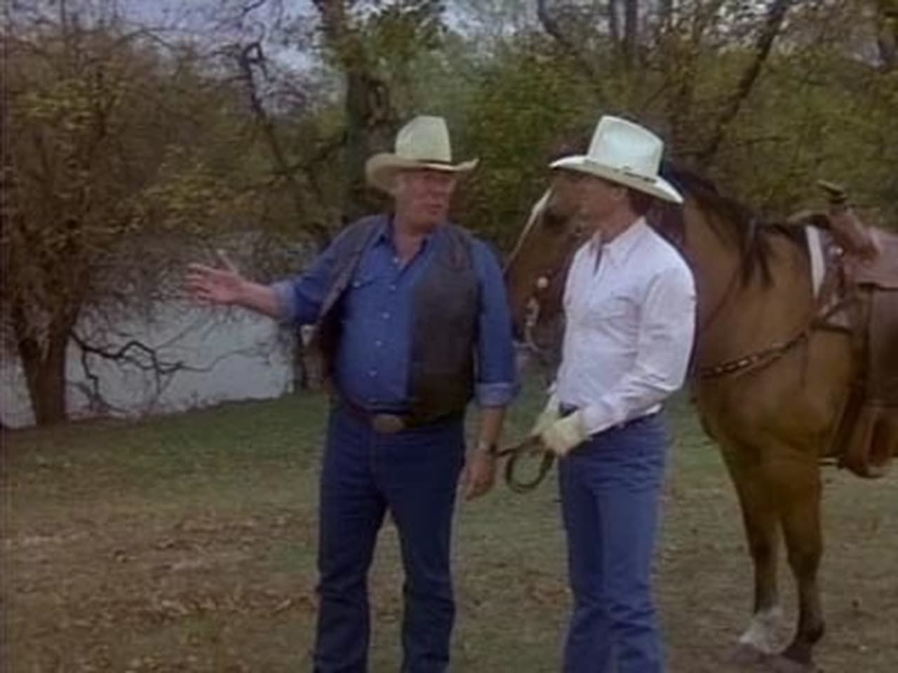 Dallas - Season 12 Summary, Trailer, Cast, and More