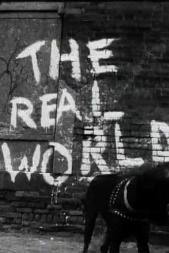 The Real World - Season 1 Summary, Trailer, Cast, and More