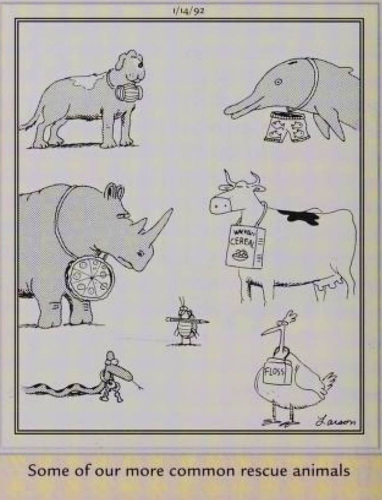 These 12 Far Side Comics Break the Mold In The Best Way Possible