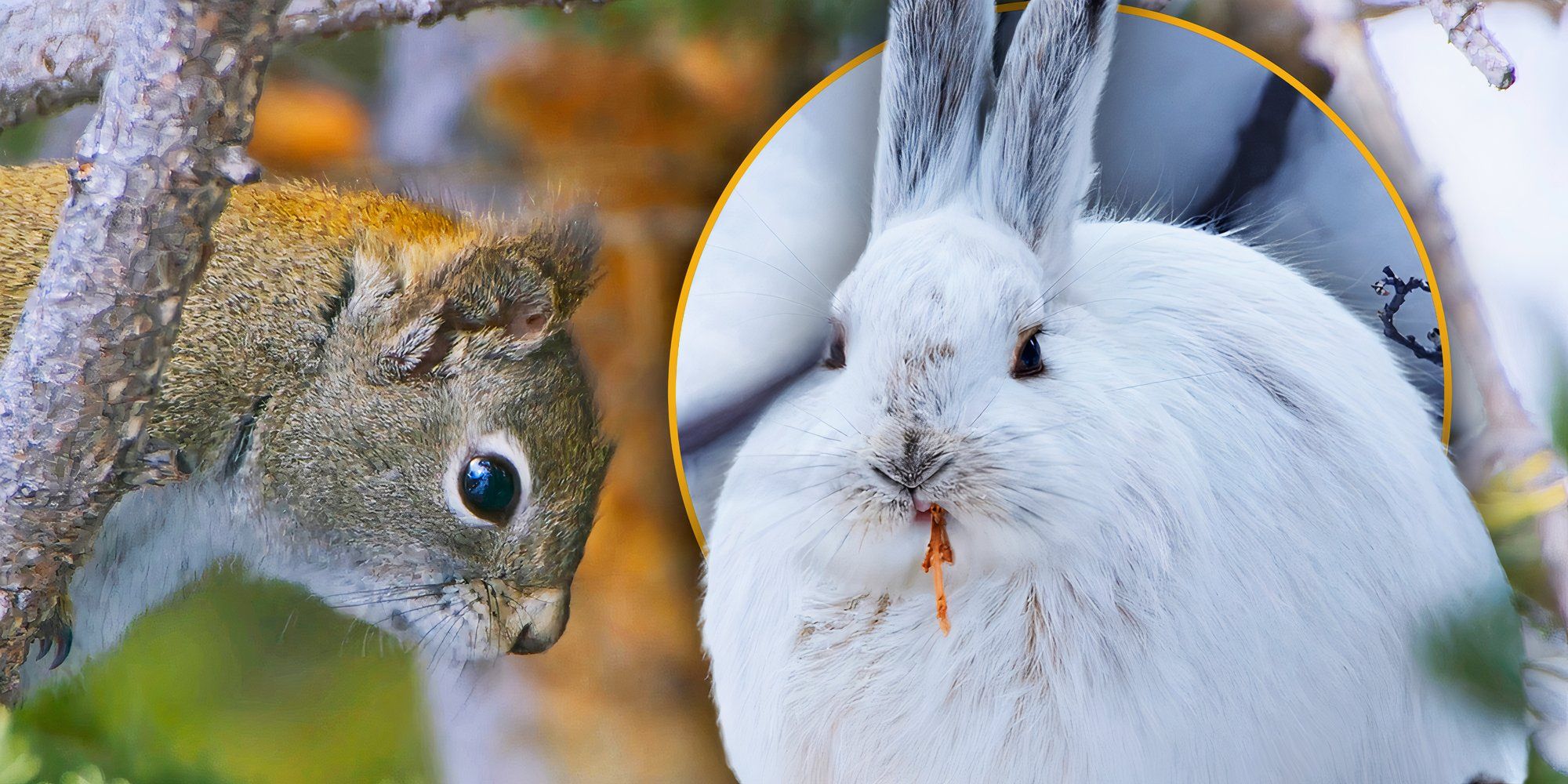 Invincible Season 3, Episode 6 Trailer