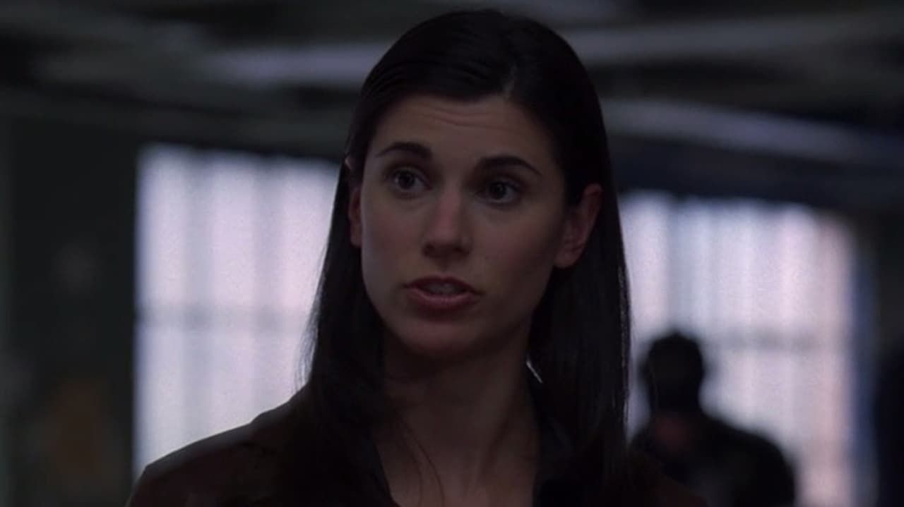 Law & Order - Season 17 Summary, Trailer, Cast, and More