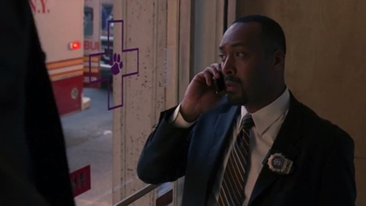 Law & Order - Season 17 Summary, Trailer, Cast, and More