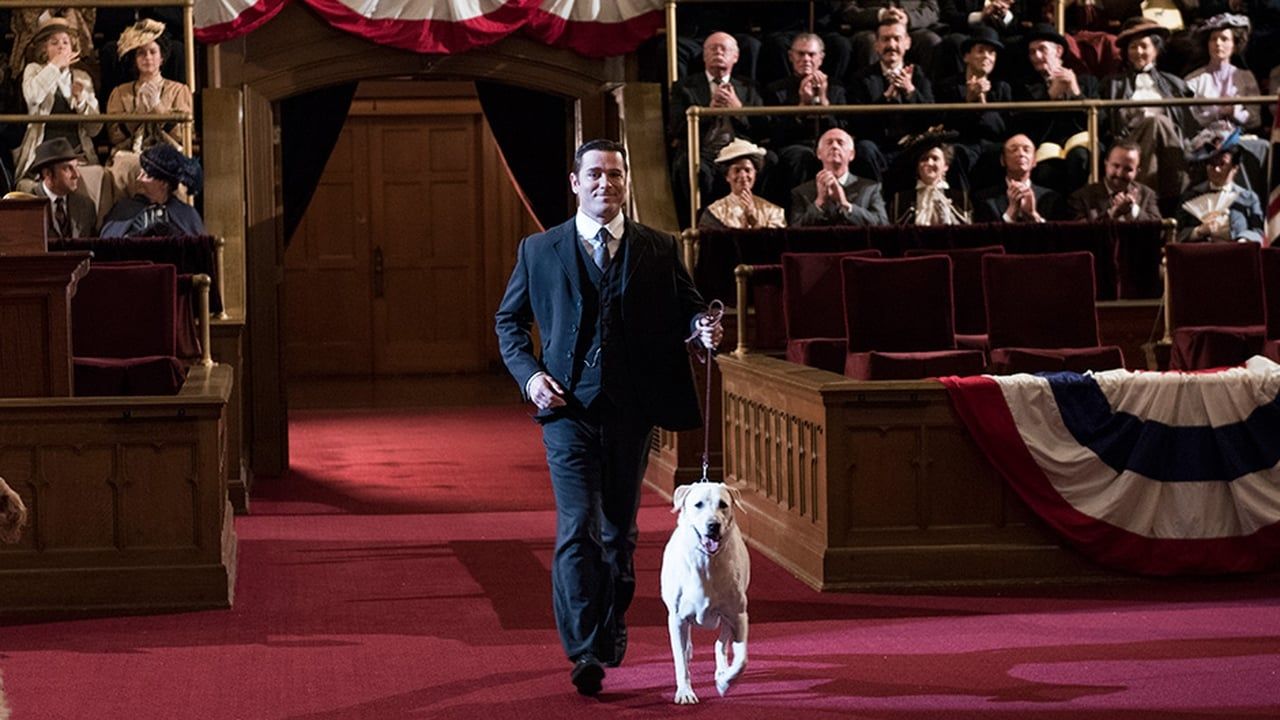 ION Plus Live TV Schedule & Listings Guide