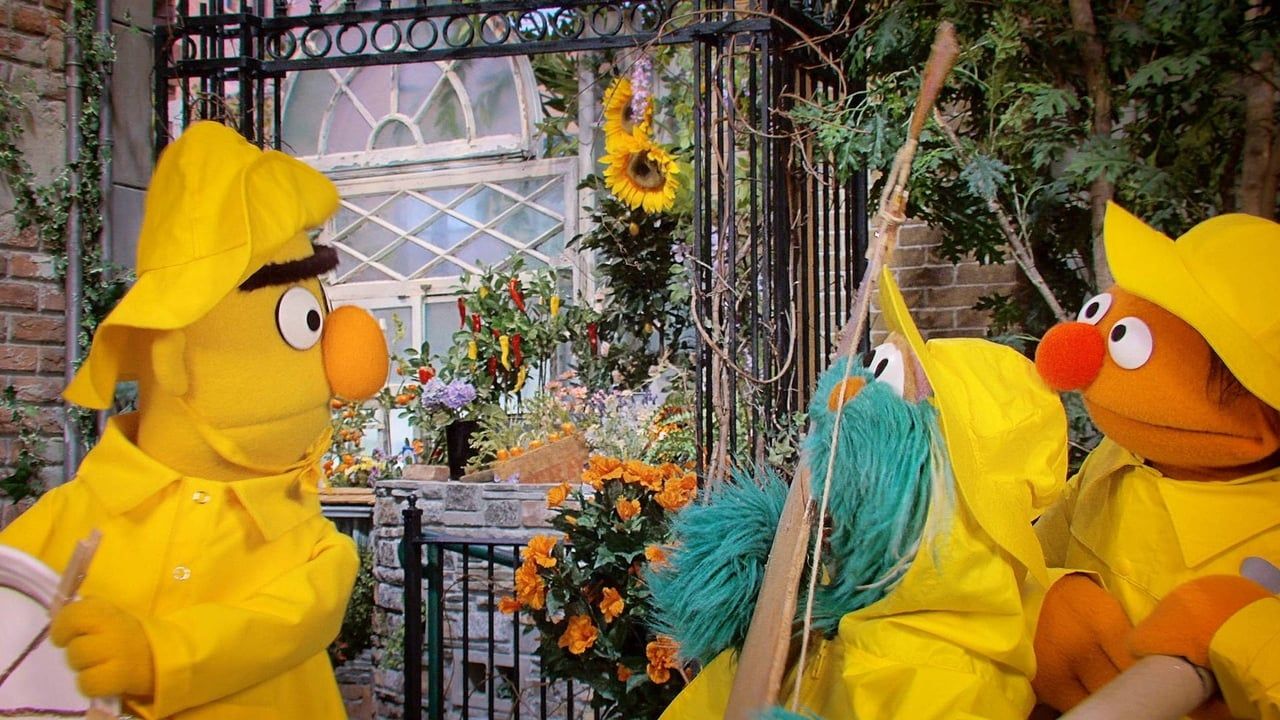Sesame Street - Season 49 Summary, Trailer, Cast, and More