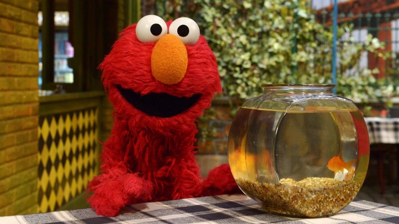 Sesame Street - Season 46 Summary, Trailer, Cast, and More