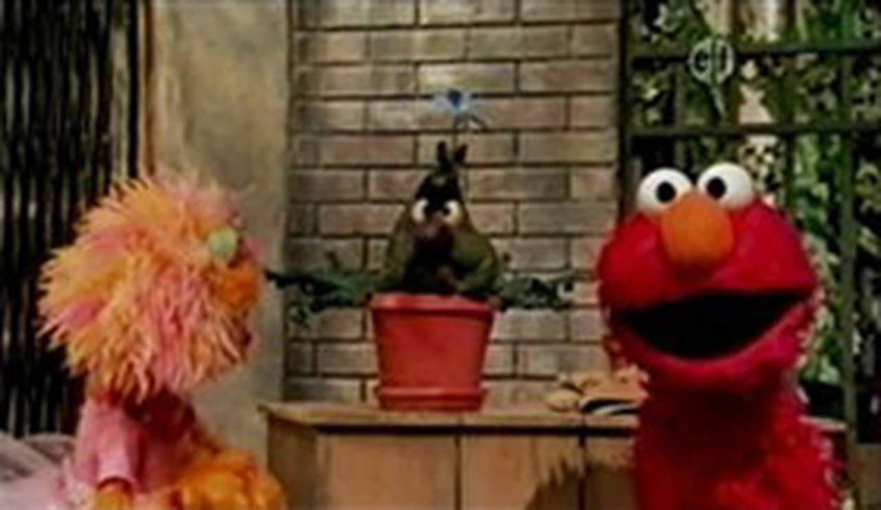 Sesame Street - Season 39 Summary, Trailer, Cast, and More