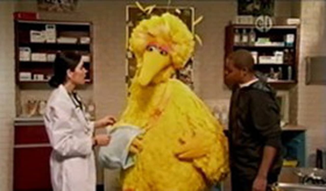 Sesame Street - Season 39 Summary, Trailer, Cast, and More