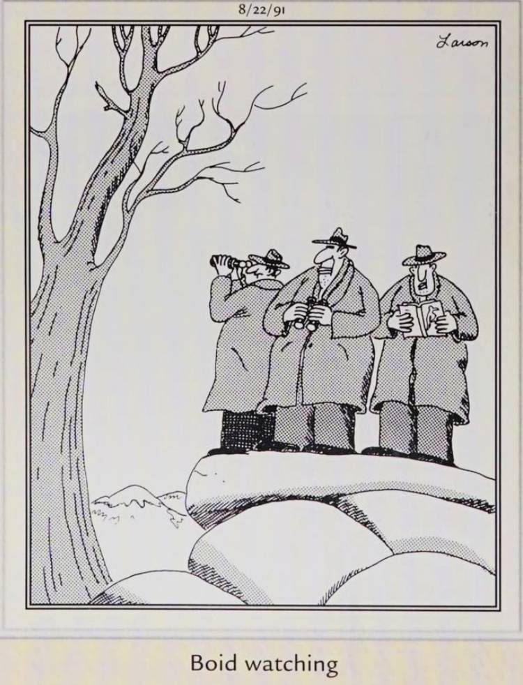 10 Far Side Comics That Will Live In Your Head Rent Free