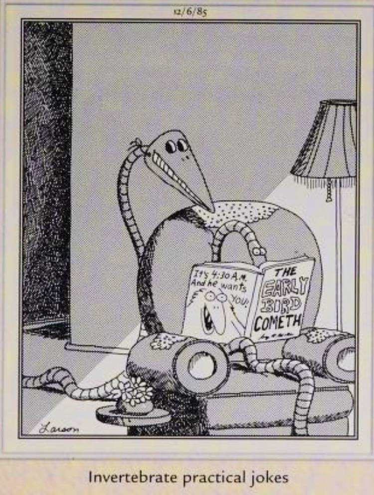 10 Far Side Comics Book Nerds Will Love