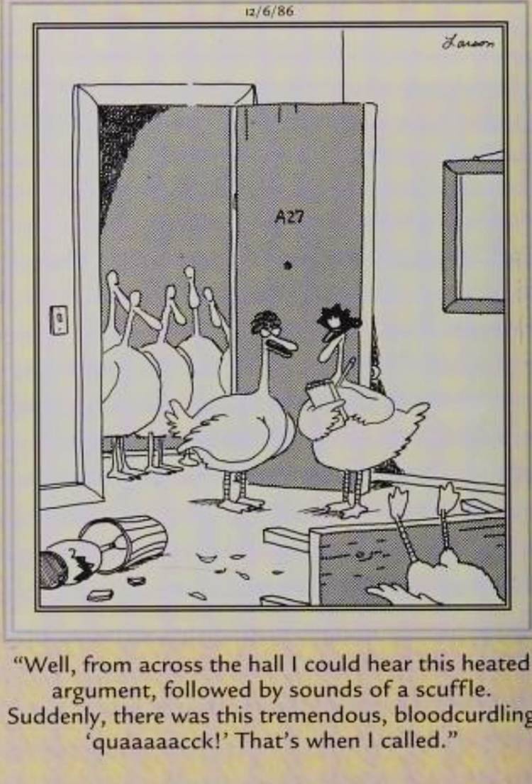 10 Far Side Comics Where the Joke Is A Literal Mystery