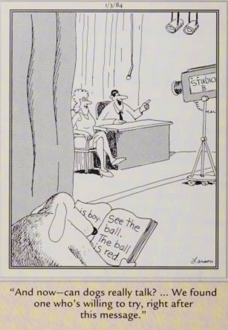 9 Brilliant Far Side Comics Poking Fun At Late Night TV