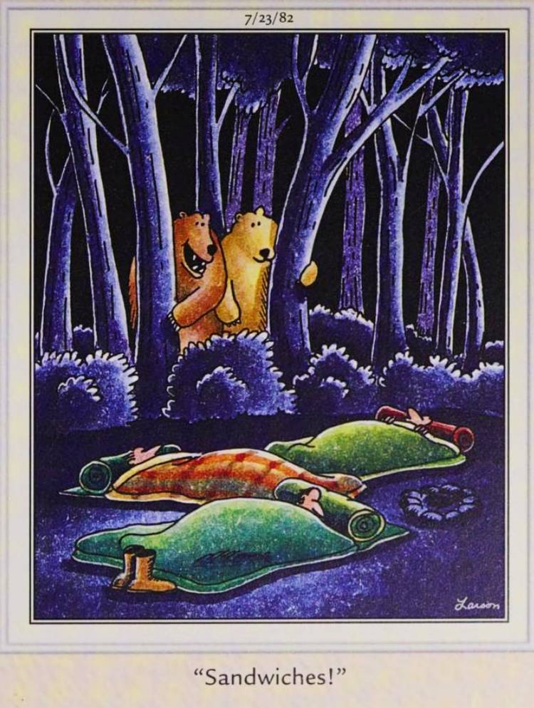 10 Far Side Comics That Will Remind You to Live In the Moment