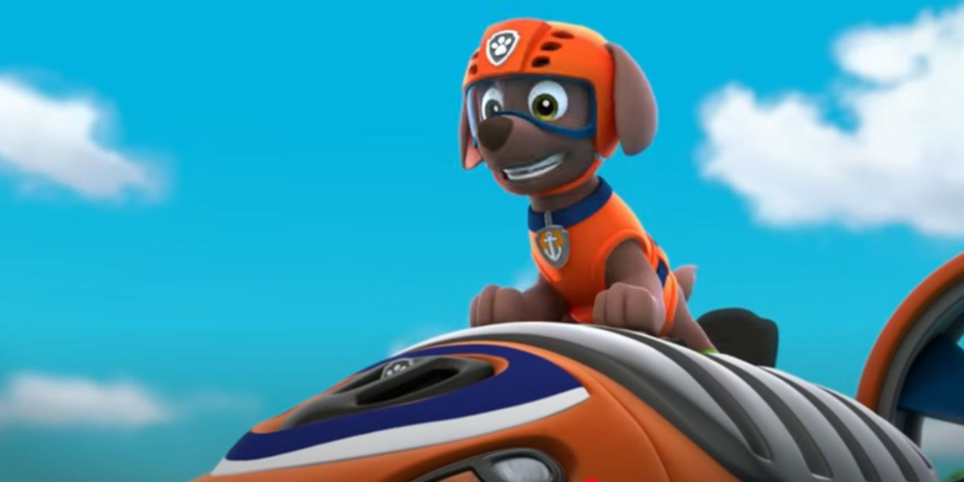 Is Zuma From Paw Patrol A Guy Or - Infoupdate.org