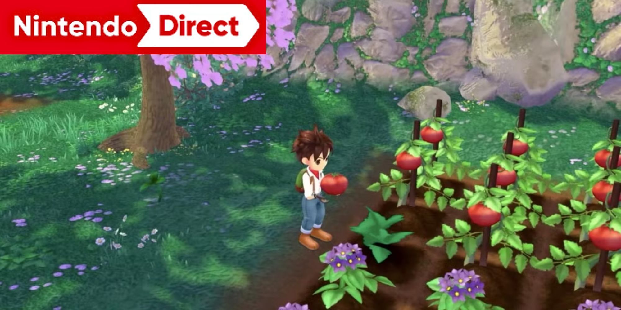 I’m Convinced It’s Finally Time For Another Nintendo Farming Direct