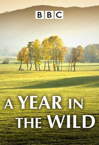A Year in the Wild - Season 1 Summary, Trailer, Cast, and More