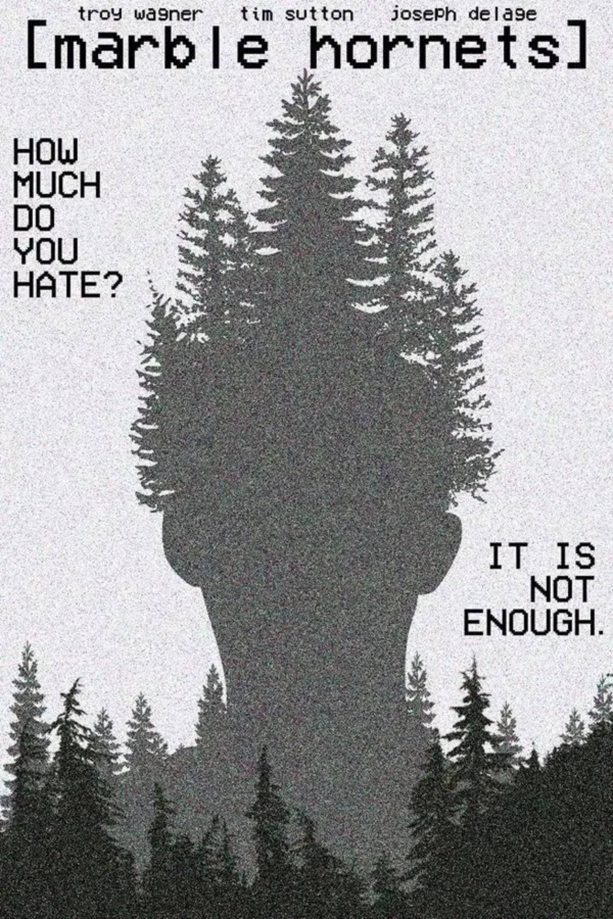 Marble Hornets Summary, Latest News, Trailer, Season List, Cast, Where ...