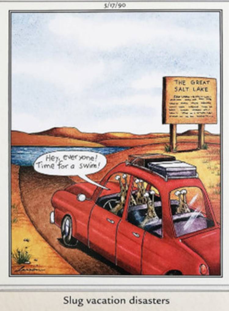 10 Far Side Comics That Will Make You Rethink Your Excitement for Summer
