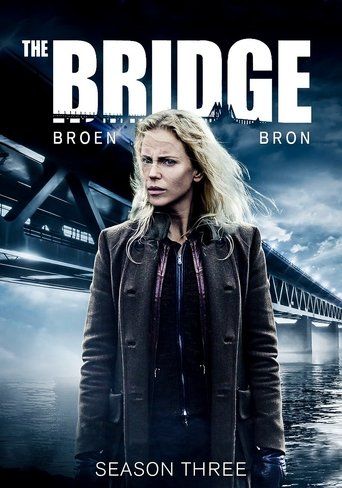 The Bridge - Season 3 Summary, Trailer, Cast, and More
