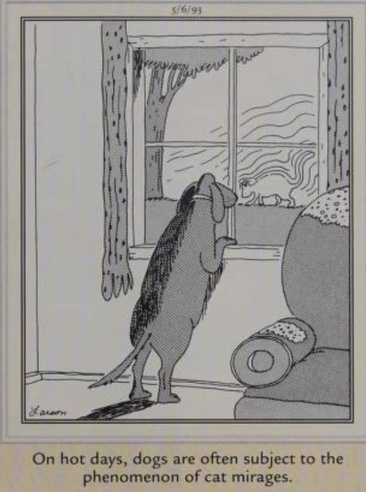 10 Far Side Comics That Prove Heatwaves Are the Absolute Worst
