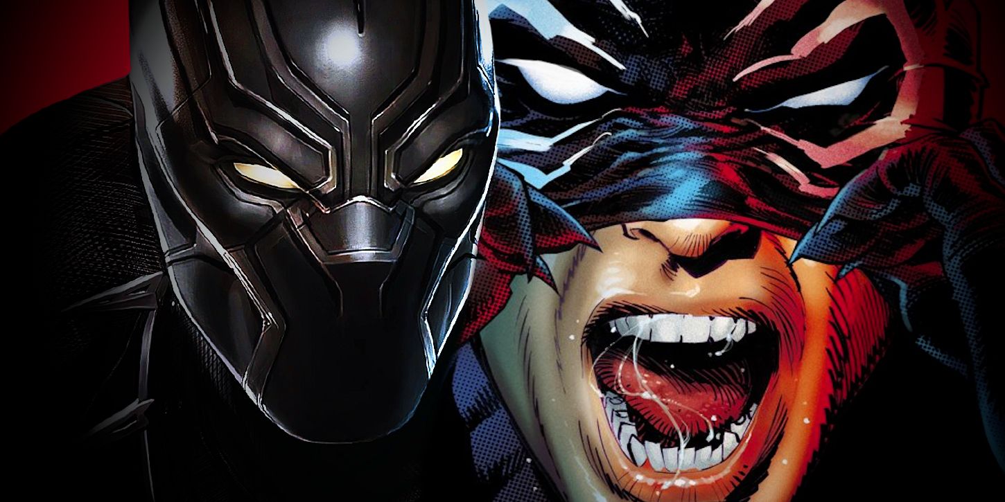 Marvel Just Introduced Its New Black Panther, Setting The Stage For A ...