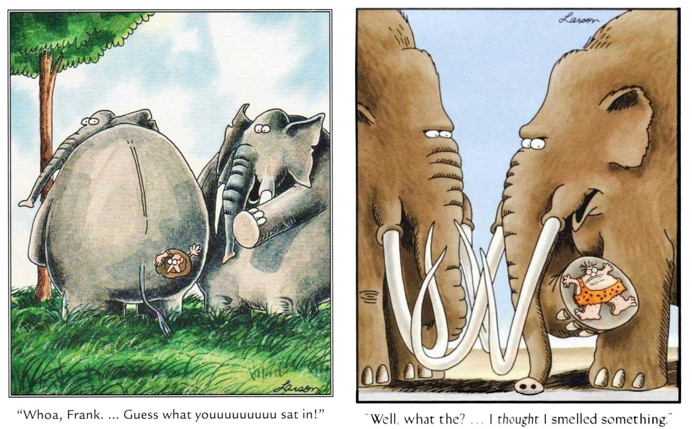 10 Late-Era Far Side Comics That Haven't Been Overshared (Yet)