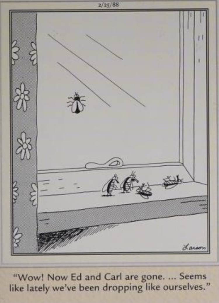 10 Funniest Far Side Comics That Flip the Script On Familiar Punchlines