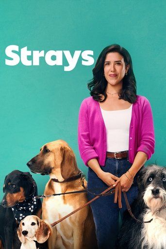 Strays - Season 2 Summary, Trailer, Cast, and More