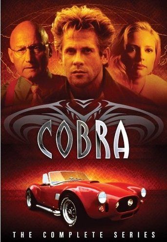 Cobra - Season 1 Summary, Trailer, Cast, and More