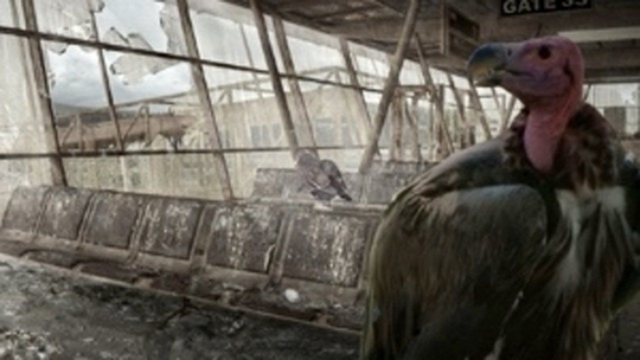 Life After People - Season 2 Summary, Trailer, Cast, and More