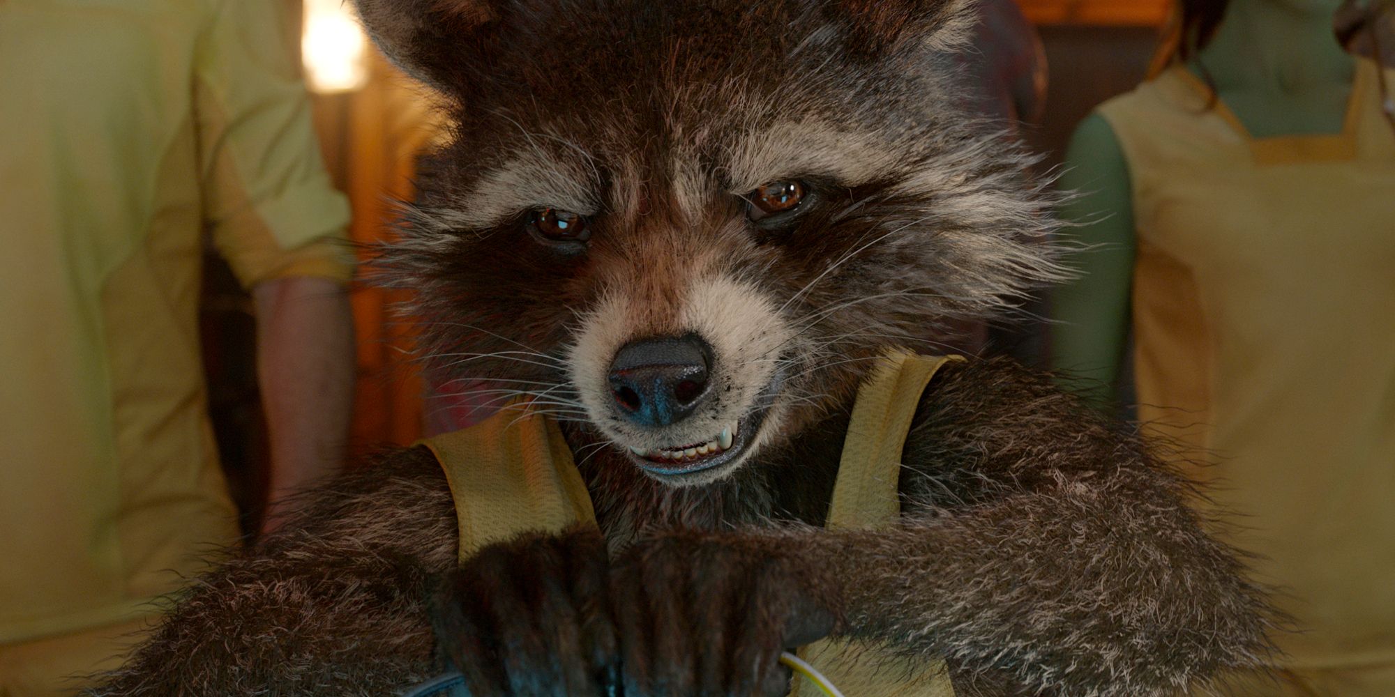 The DCU Just Gave Us It’s Own Rocket Raccoon In The Most Messed Up Way ...