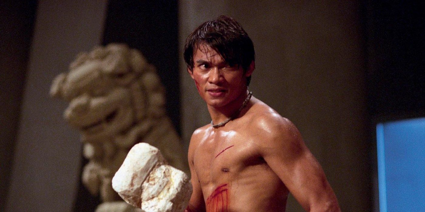 The Fighting Is So Good In This 2005 Martial Arts Movie, It's Hard To ...