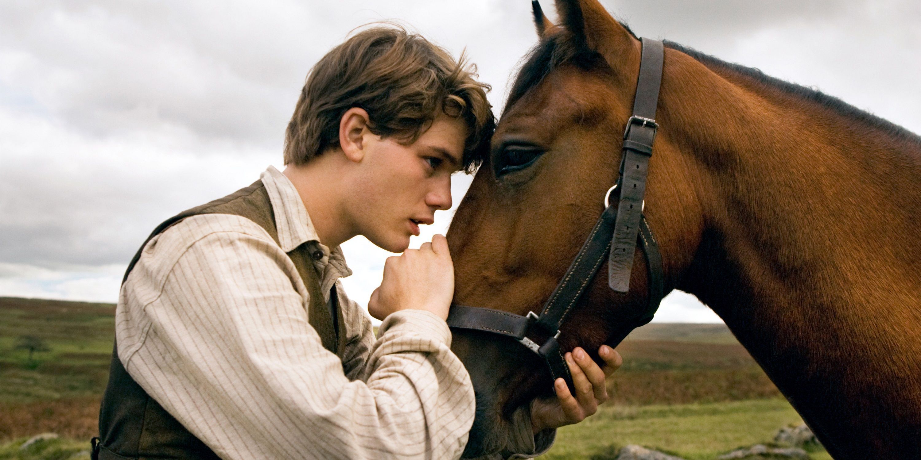 20 Best Animal Movies Of All Time